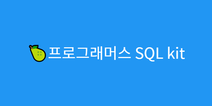 프로그래머스 SQL 고득점 Kit