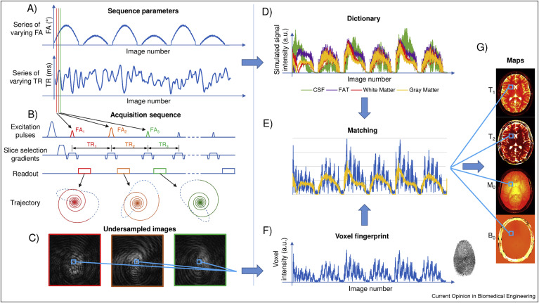 [논문리뷰]An overview of deep learning in medical imaging focusing on MRI