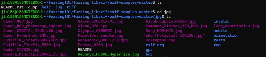Fuzzing101_exercise 2