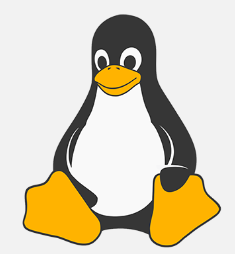 SELinux(Security Enhanced Linux)