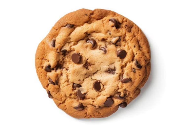 JSP [06] Cookie, Session