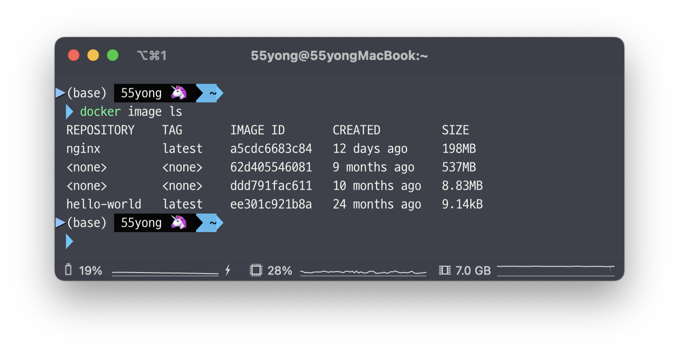 Docker CLI로 Nginx 설치 및 실행