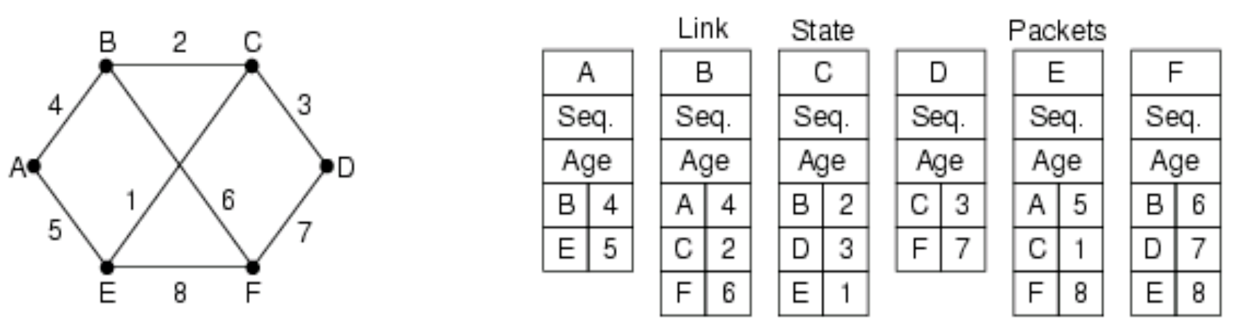 Computer Network Link State Routingospf And Lsa