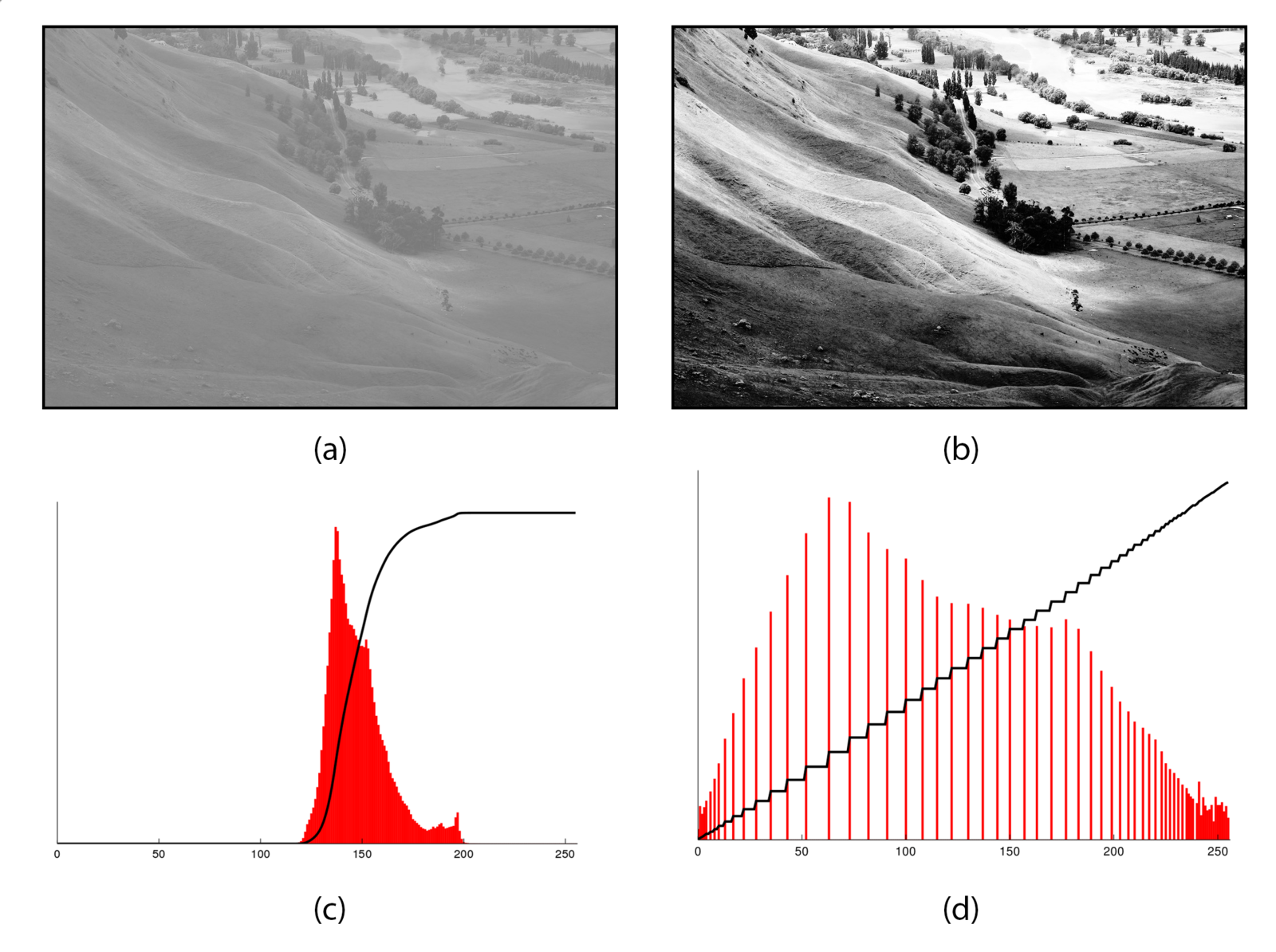 Histogram Equalization