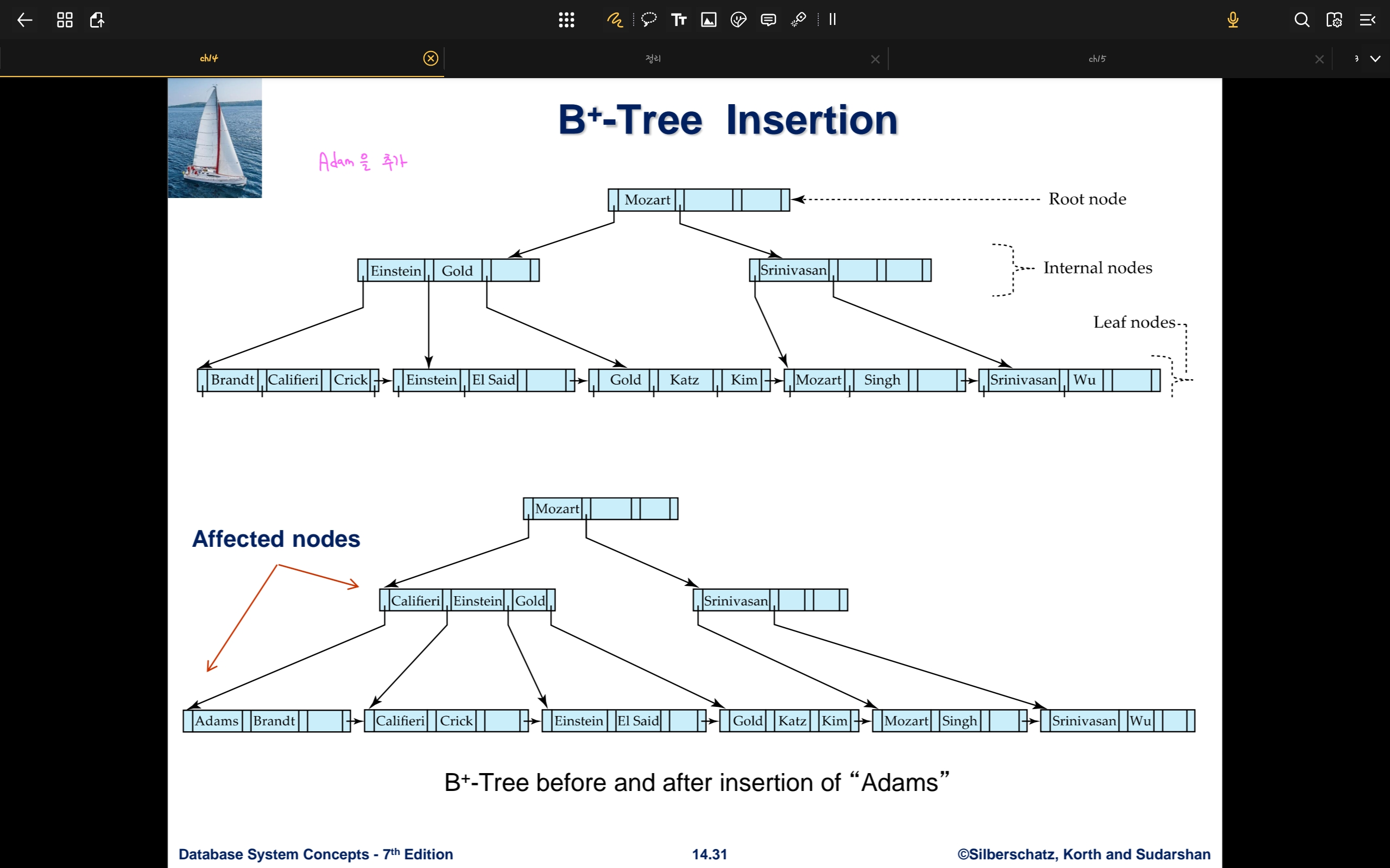 B+Tree Index