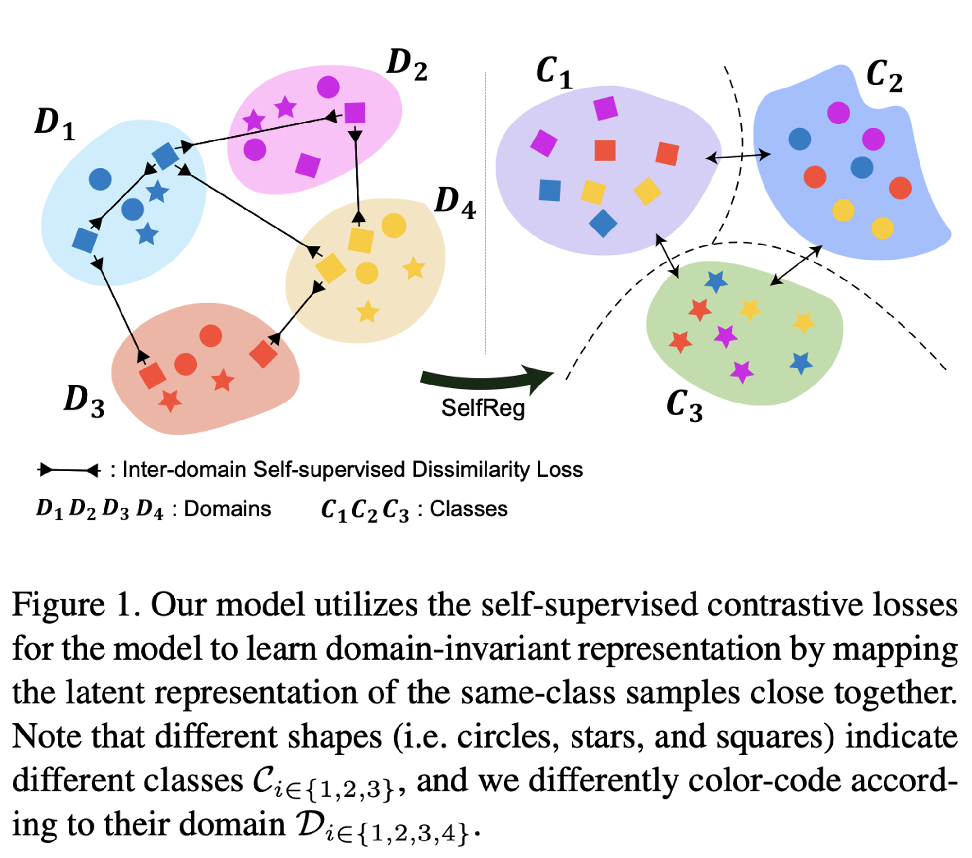 Selfreg Self Supervised Contrastive Regularization For Domain Generalization