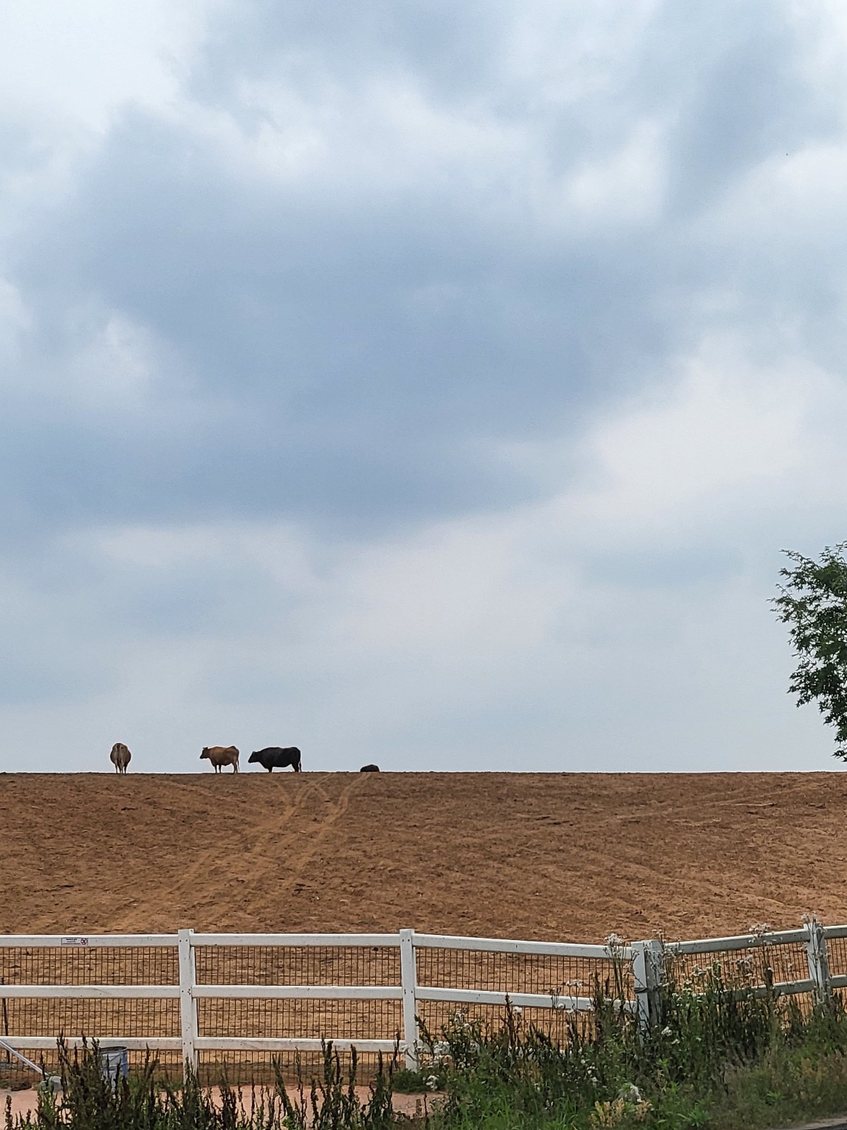 🦁 멋쟁이사자처럼 앱스쿨 15일차 / 04.01