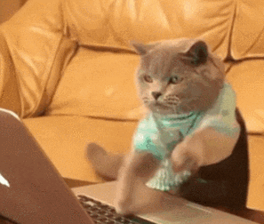 _coding_cat (_coding_cat) / 작성글 - velog