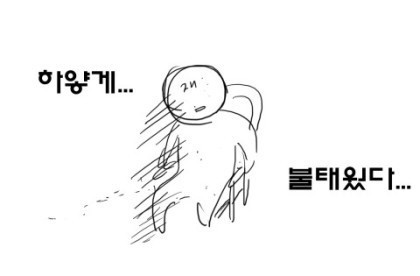 [일상]sqld시험후기-불태웠다...