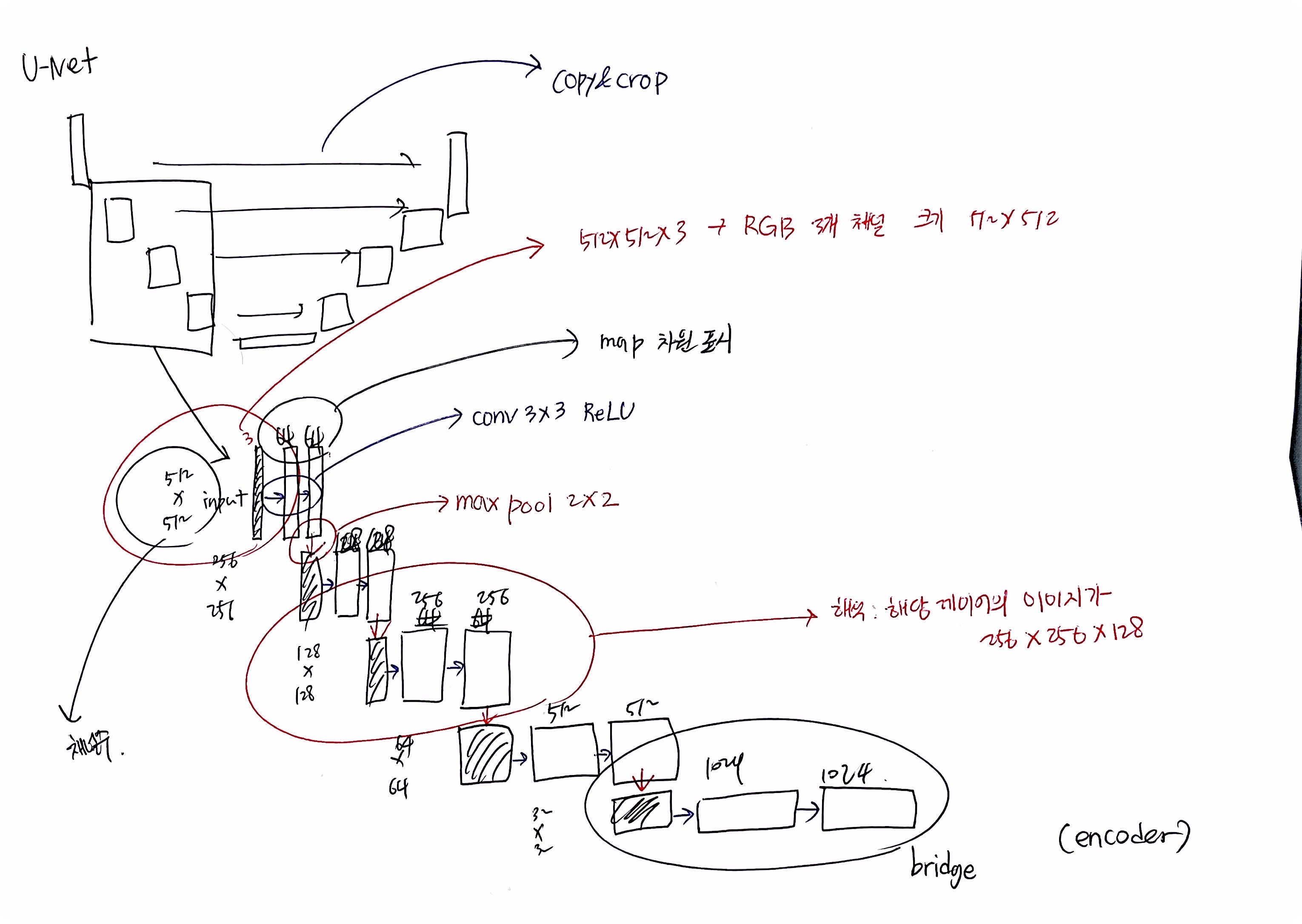[ML/CV]U-Net: Convolutional Networks for Biomedical Image Segmentation
