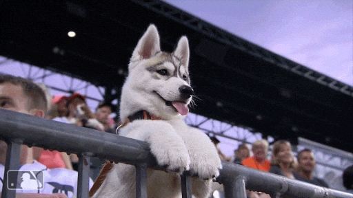 husky로 ESLint 연동하기: 코드 오류, 이제 commit 전에 막는다!(husky v9)