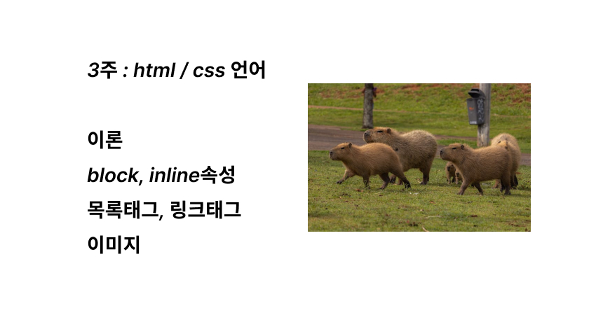 3주 Html Css 언어 이론 Block Inline 목록태그 링크태그 이미지