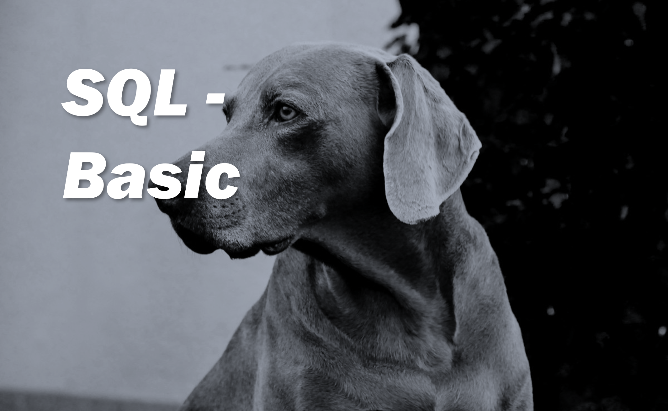 Zerobase 데이터 취업 스쿨 Sql 기초 3