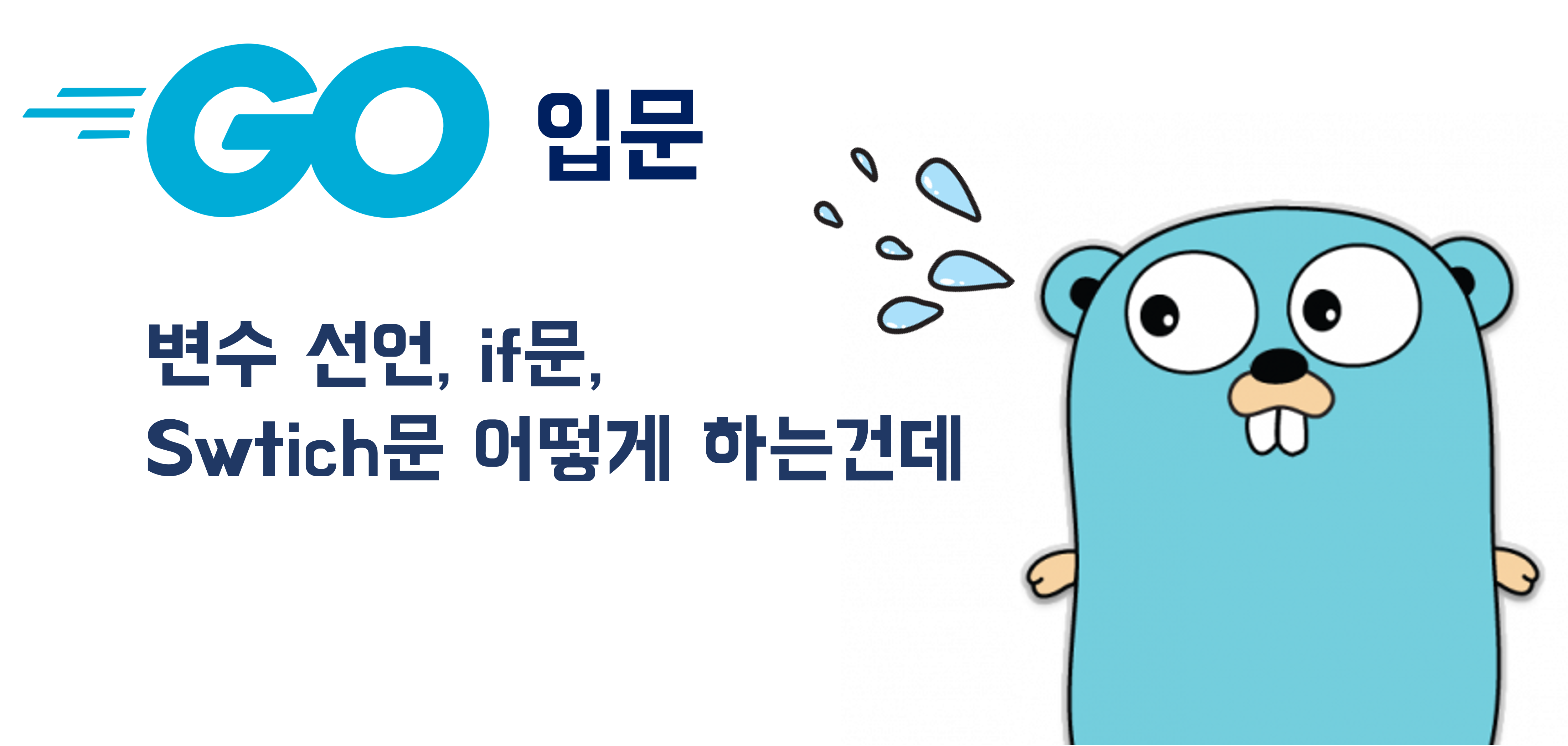 Golang practice시작하기-1-변수 선언과 if문 switch문