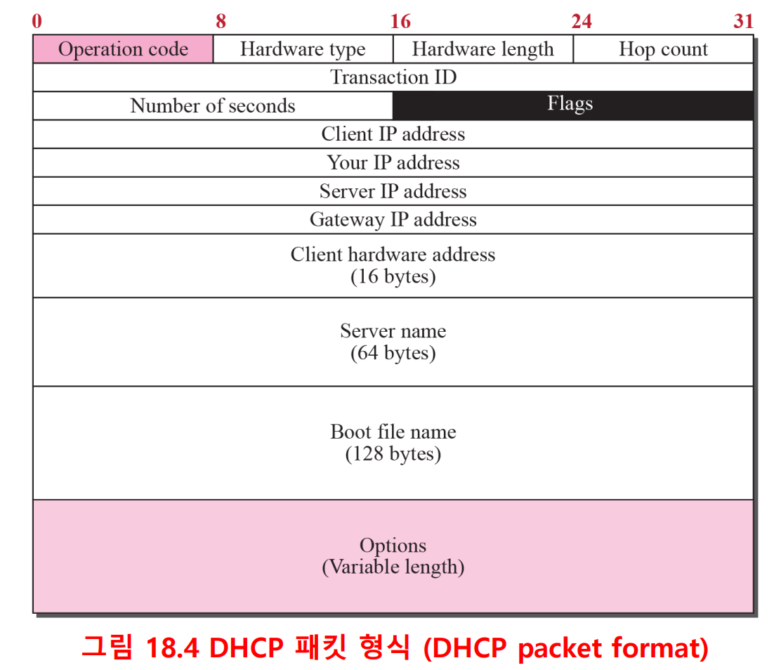 9. DHCP