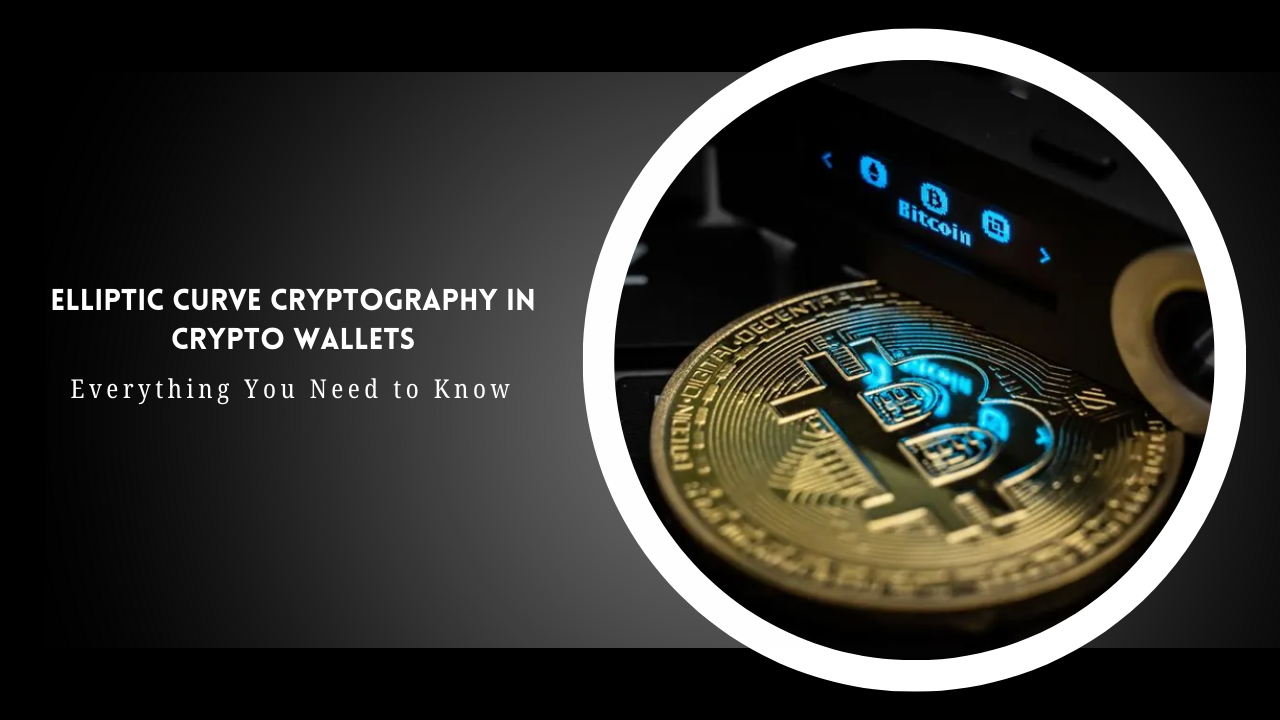 Elliptic Curve Cryptography in Crypto Wallets: Everything You Need to Know