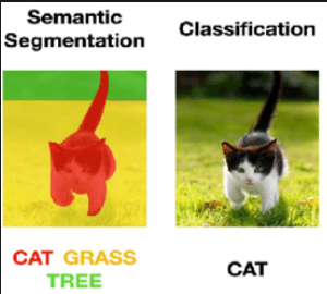 FCN (Fully-Convolution Network for semantic segmentation) 리뷰