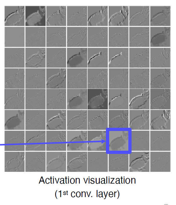 부캠 TIL 0913 - CNN visualization