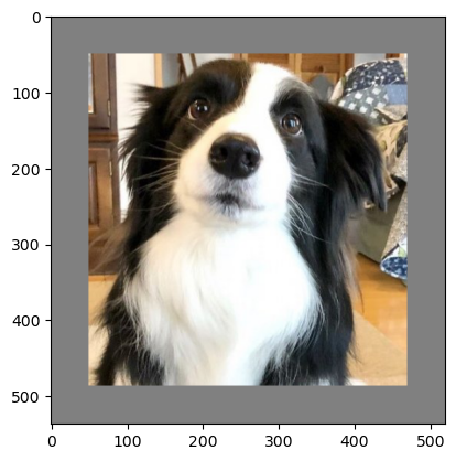 Torchvision.transforms.v2 메소드 정리