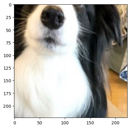 Torchvision.transforms.v2 메소드 정리