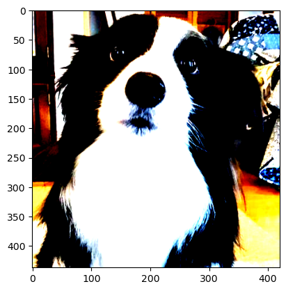 Torchvision.transforms.v2 메소드 정리