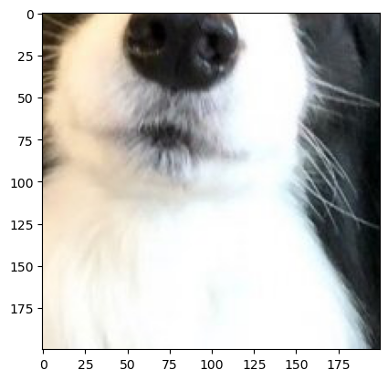 Torchvision.transforms.v2 메소드 정리