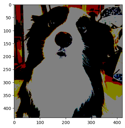 Torchvision.transforms.v2 메소드 정리