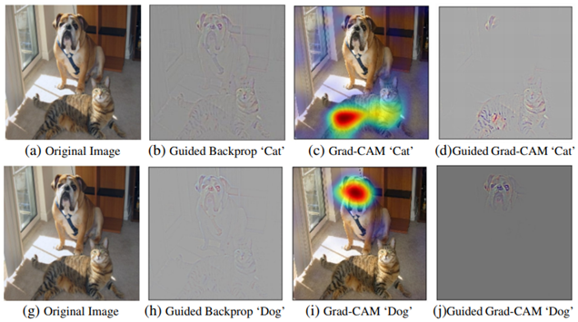 [Grad-CAM] Grad-CAM: Visual Explanations from Deep Networks via Gradient-based Localization 논문 리뷰
