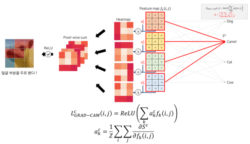 [Grad-CAM] Grad-CAM: Visual Explanations from Deep Networks via ...