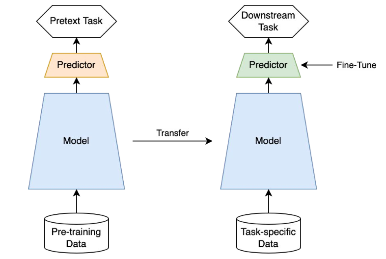 Self-Supervised Learning