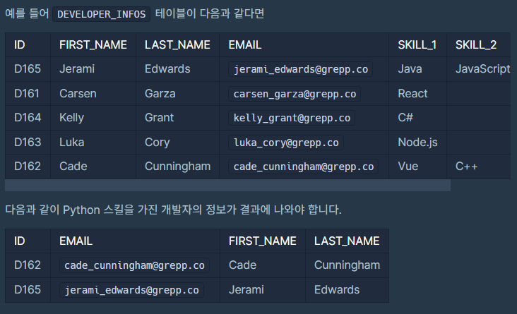 코테 연습 프로그래머스 Sql Python 개발자 찾기