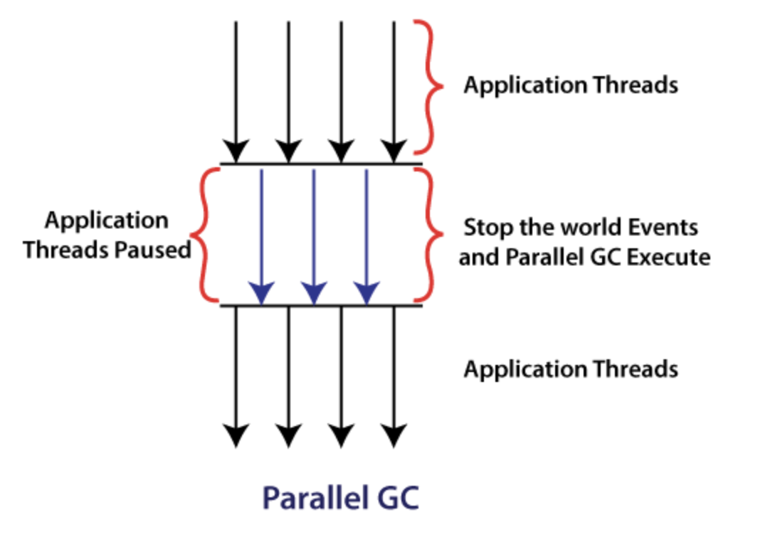 GC ( Garbage Collection )