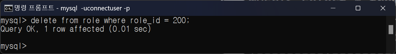 DML(INSERT, UPDATE, DELETE)