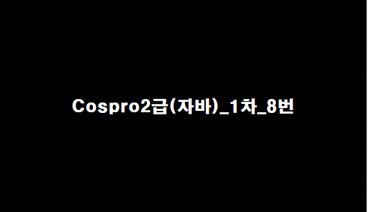 Cospro2급(자바)_1차_8번