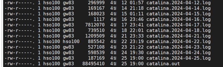 tomcat 의 catalina.out