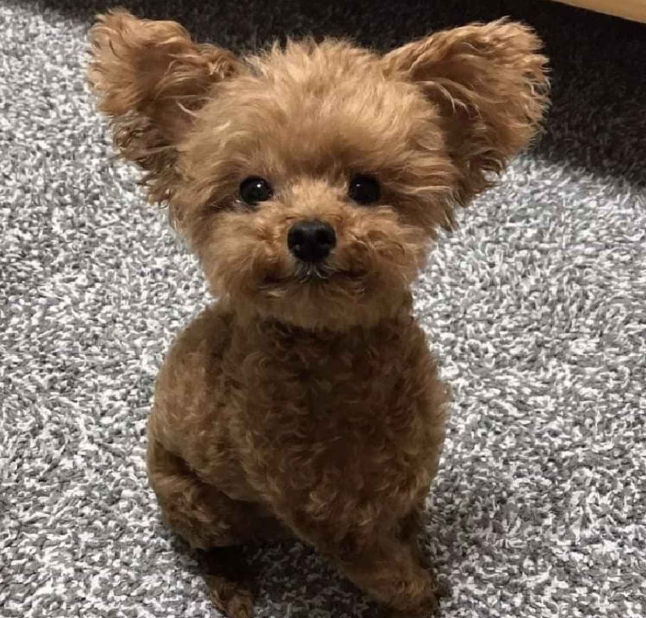 [Next.js] Data Fetching, Caching, Server Action