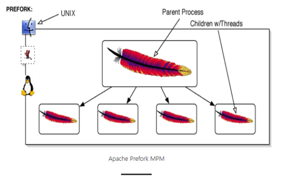 [네트워크] L4/L7/웹서버(Apache, Nginx)/WAS/방화벽 정리