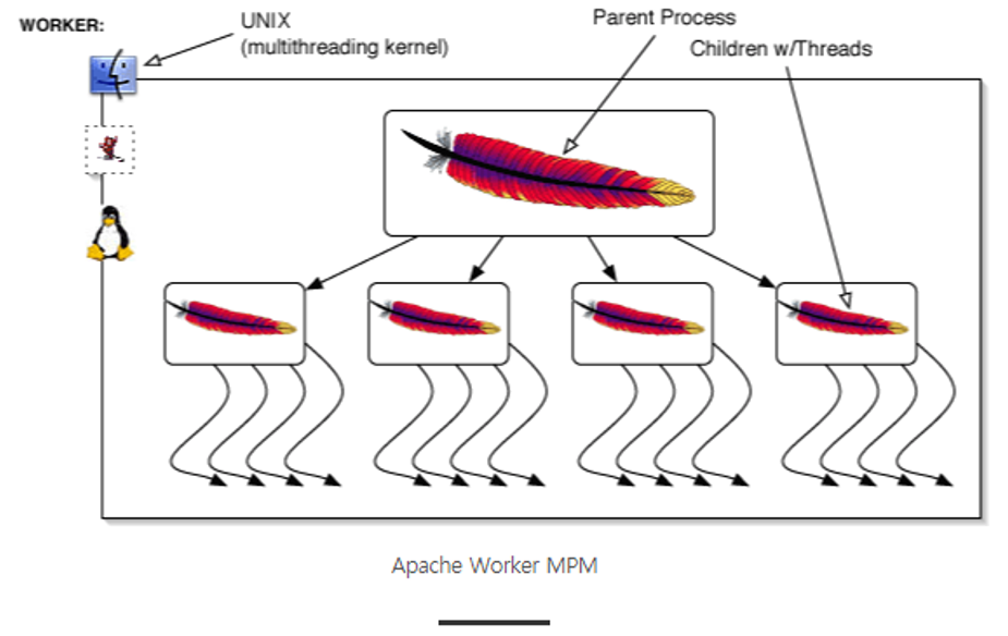 [네트워크] L4/L7/웹서버(Apache, Nginx)/WAS/방화벽 정리
