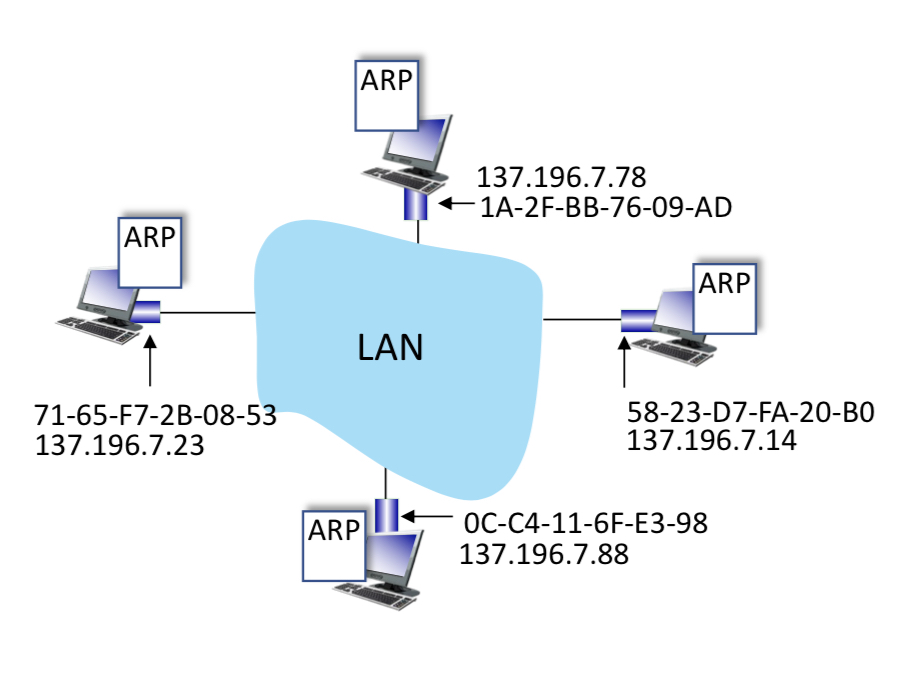 [네트워크] LANs - ARP, Ethernet, switches, VLANs
