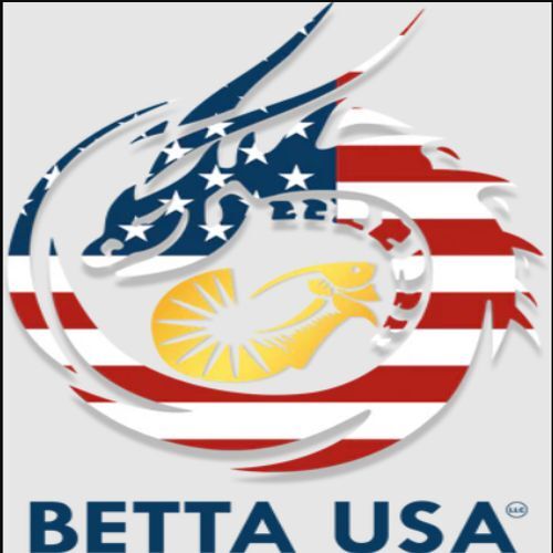 Bloody mary shrimp vs cherry shrimp: Which freshwater shrimp is right ...