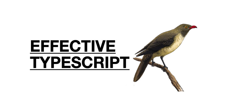 [Effective TypeScript] item 43 - 47