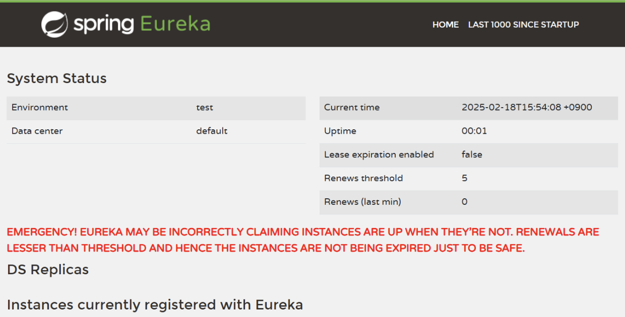 [Spring] 서비스 디스커버리 | Spring Cloud Netflix Eureka 활용