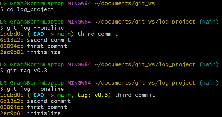 [GIT] Git Tag