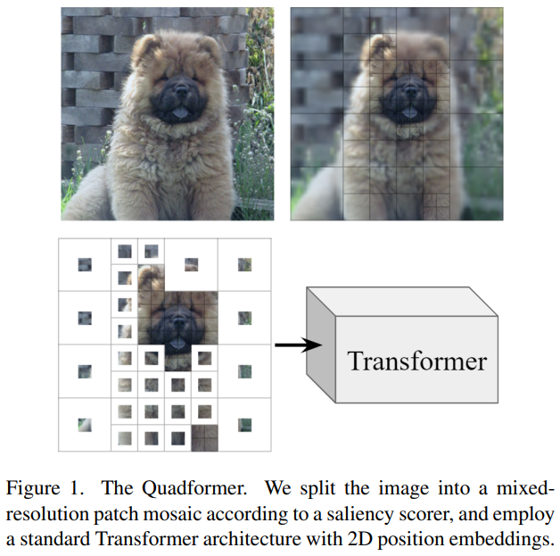 [논문 정리] Vision Transformers with Mixed-Resolution Tokenization
