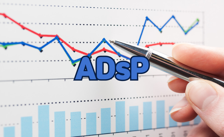 [ADSP] 개요