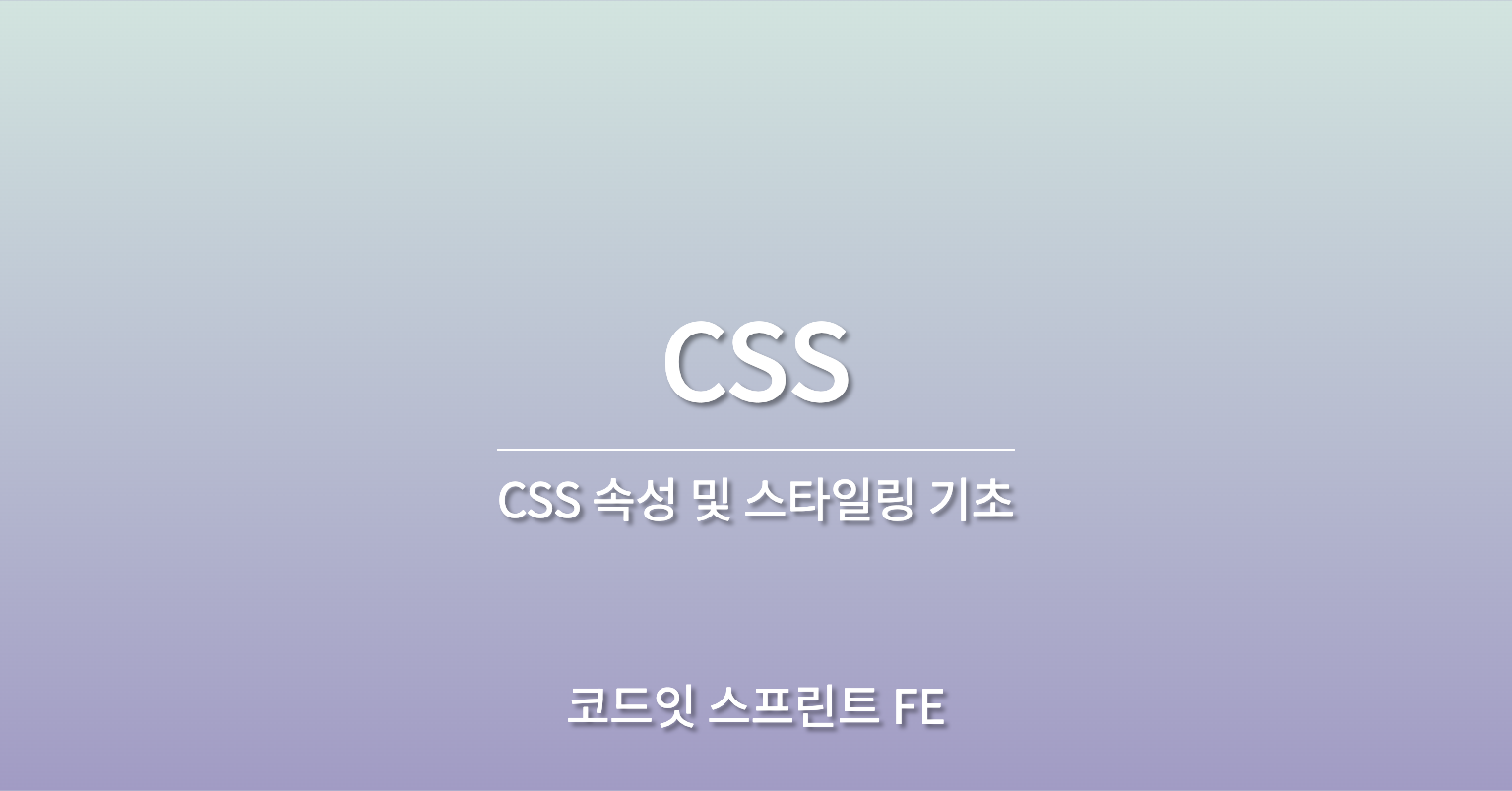 CSS 속성 및 스타일링 기초