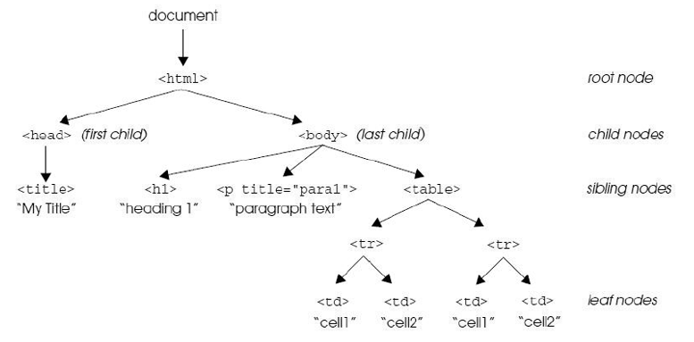 Acorn academy 12/21 Js 내장객체