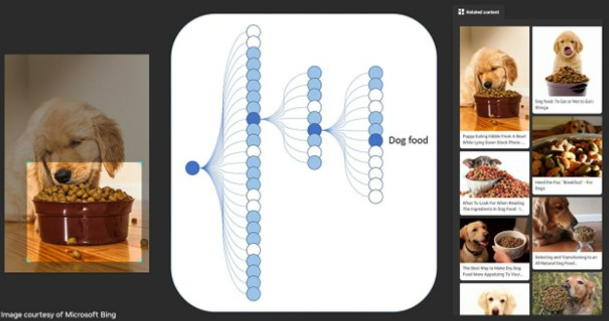 Ai Eng Computer Vision 왜 Python이 컴퓨터 비전의 기본 언어인가” And 🔰 Python으로 Vision 개발을 시작하기 위한 베이직 로드맵