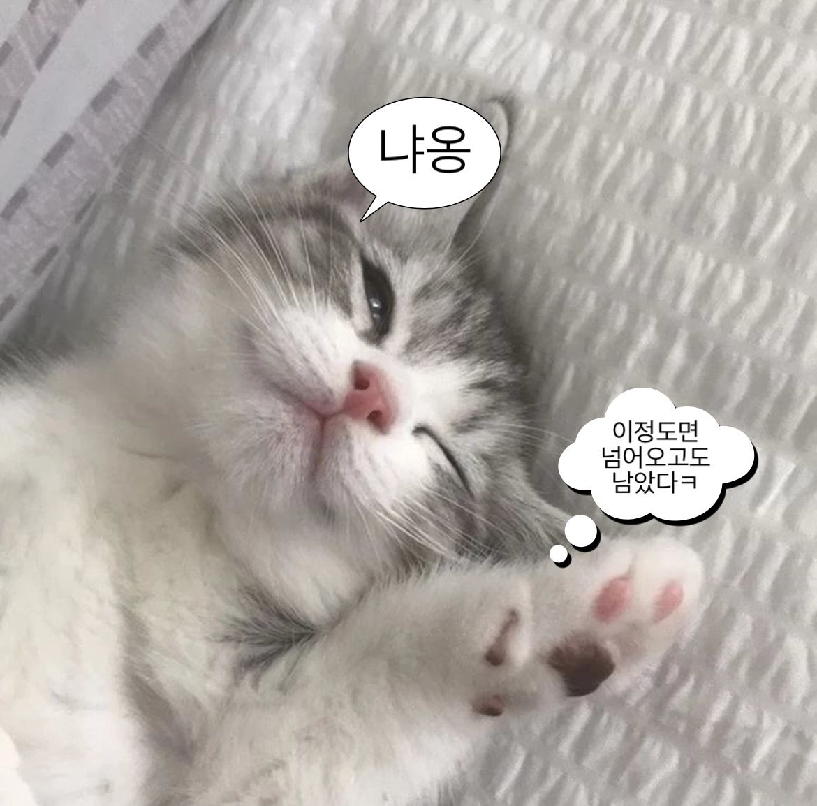 cannes7 (cannes7) / 작성글 - velog