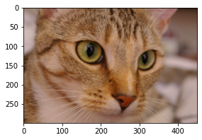 opencv 라이브러리를 이용한 interpolation을 적용 방법